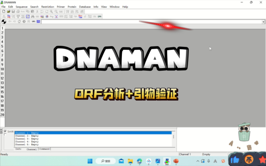 DNAMAN 隐藏技能 ORF分析 引物验证