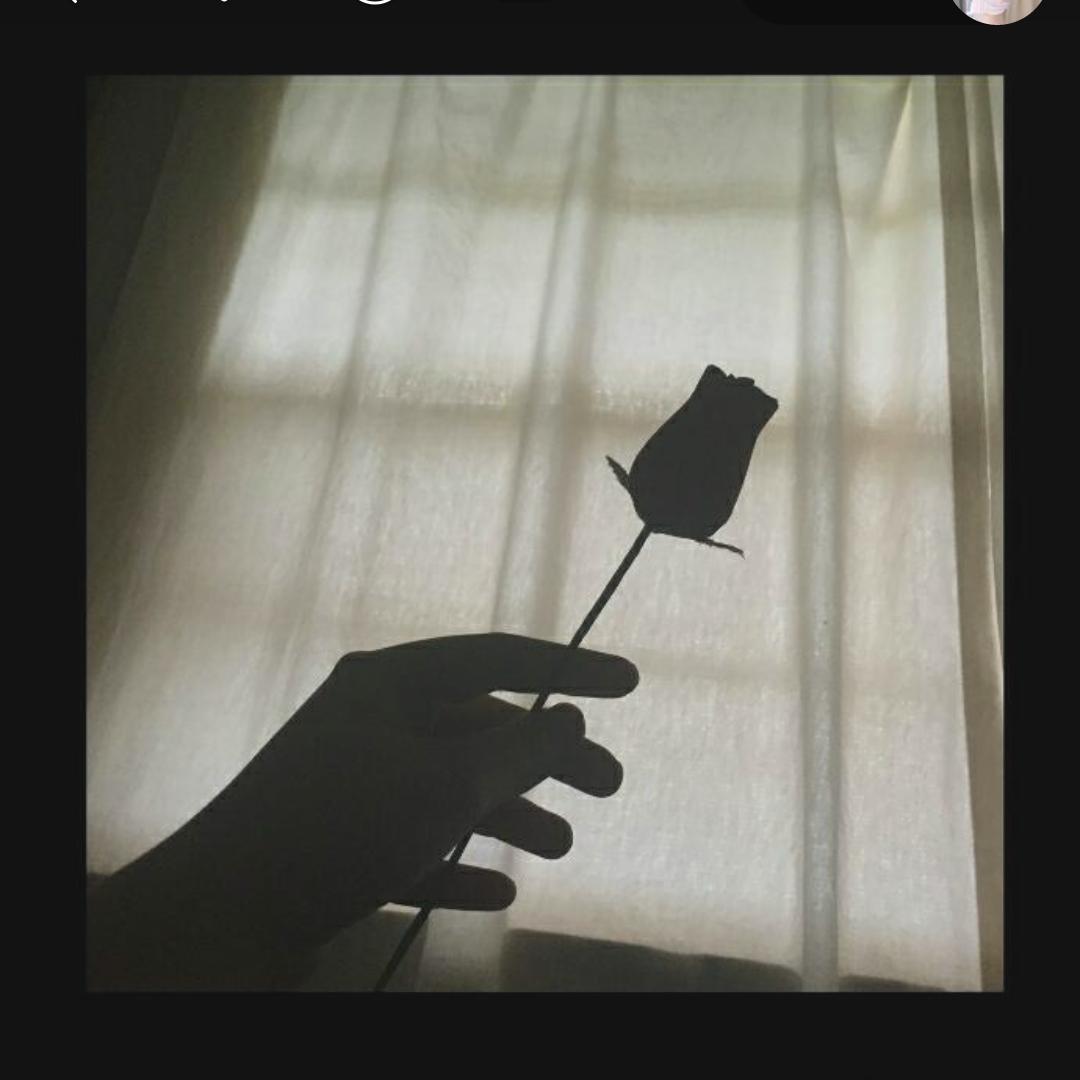 奥数精彩视频分享 