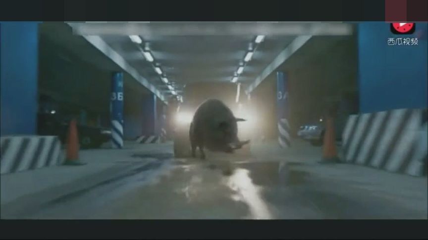 真正俄罗斯奇幻动作大片的打开方式,全程劲爆