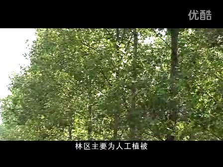 清平森林公园宣传片