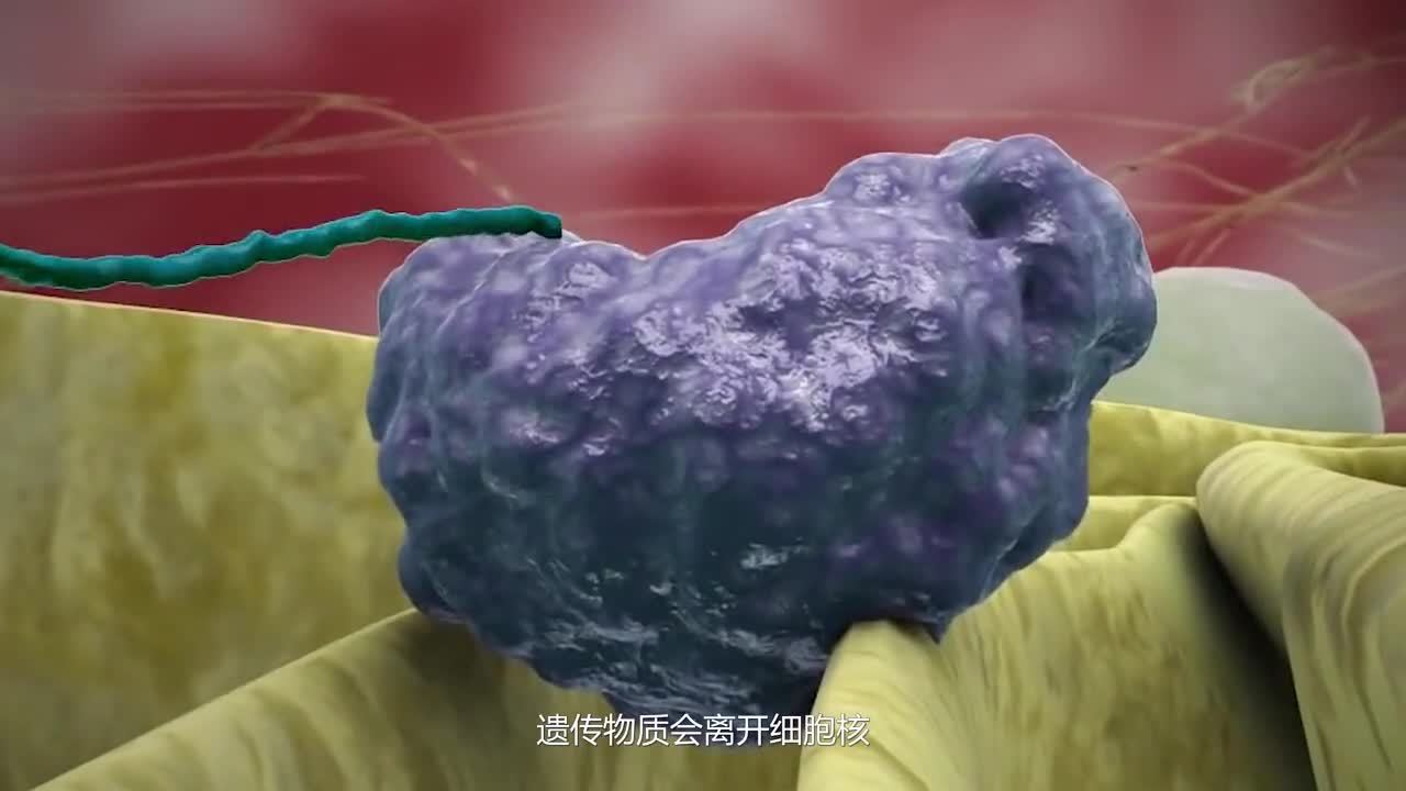 流感病毒是如何感染人类的?人体到底能不能自愈?