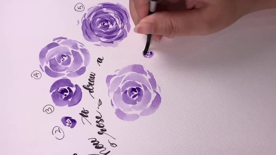 【水彩教程】简单又好看的玫瑰画法
