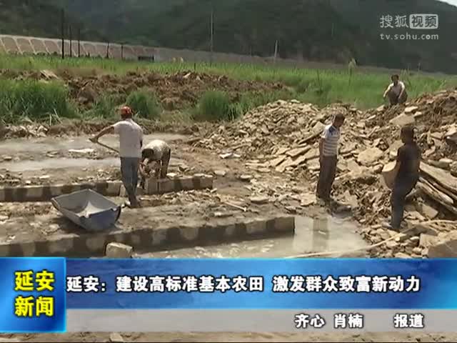 延安:建设高标准基本农田 激发群众致富新动力