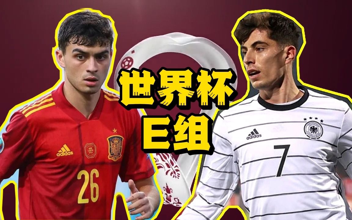 Topstox世界杯巡礼-E组球员解析