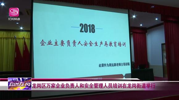 龙岗区万家企业负责人和安全管理人员培训在龙岗街道举行