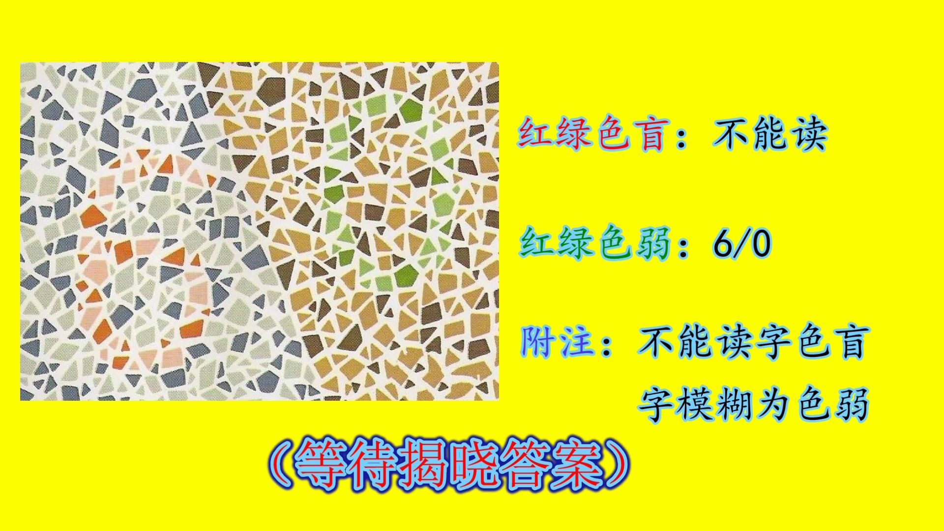 1分钟帮你测试,你是色盲还是色弱?