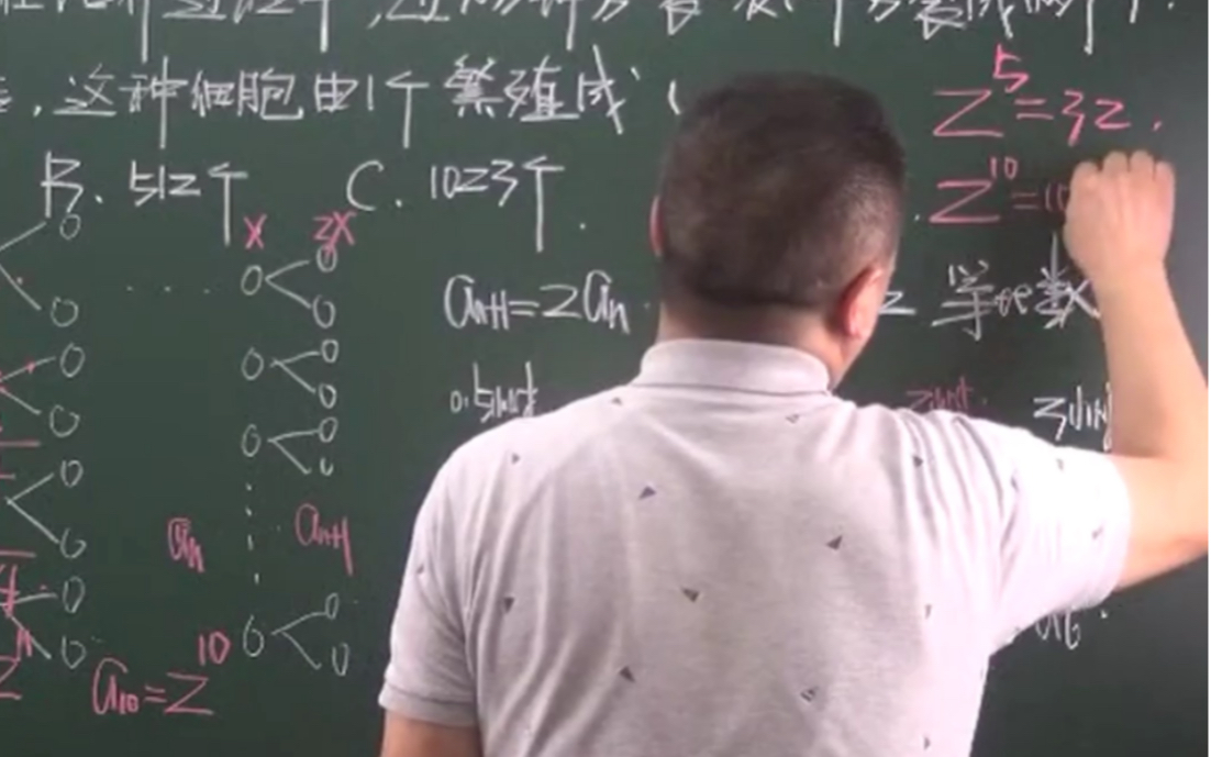 张老师等比数列通项公式定义加固练习(2)