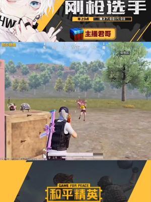 绝地求生教学 职业选手都是怎么设置游戏画面...