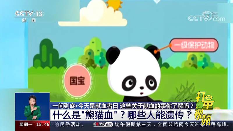 什么是“熊猫血”?哪些人能遗传这种稀有的血型?|共同关注