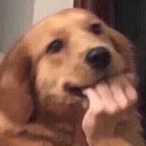 我不打提莫 