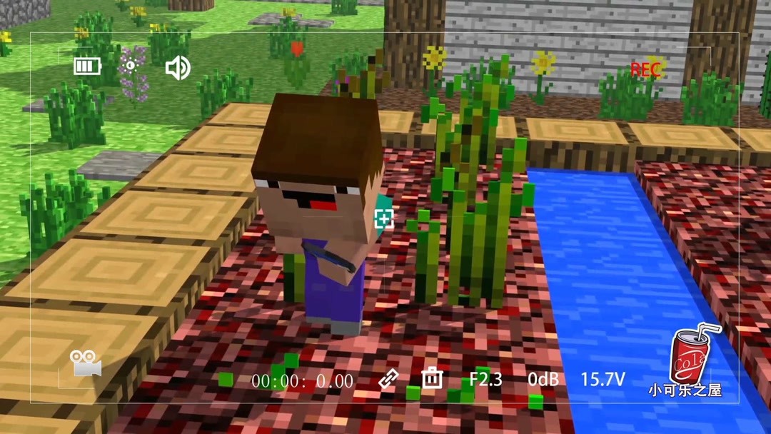 我的世界动画:小朋友历险记4