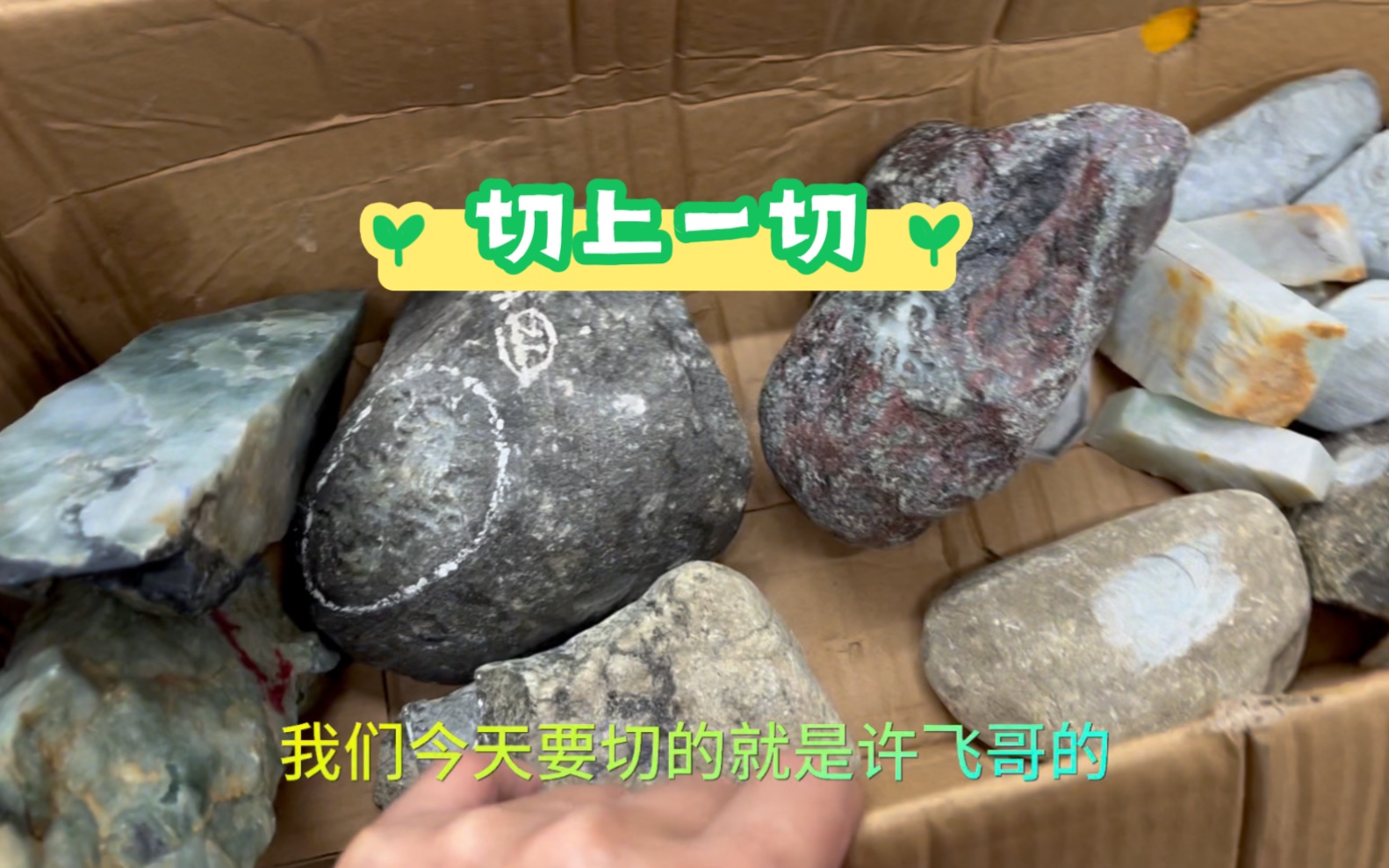 十几个翡翠原石,一刀切开,会开出什么呢