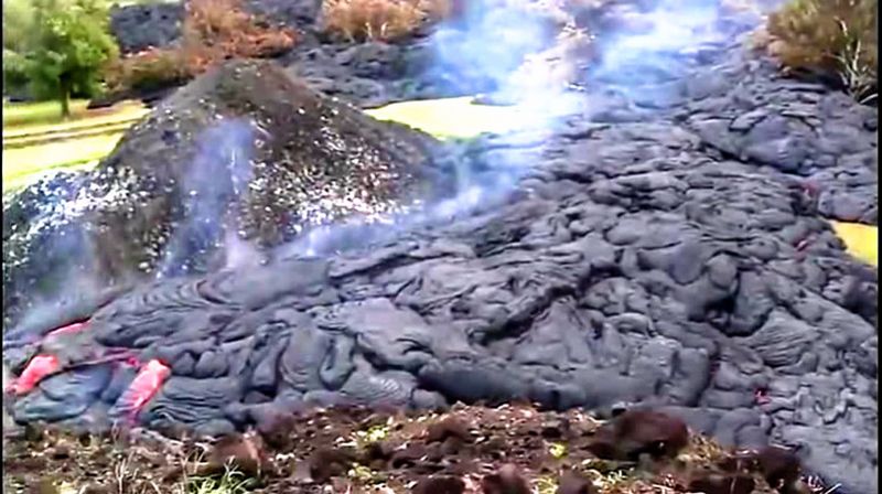 游客拍下罕见一幕,大家伙直接被吓到了!