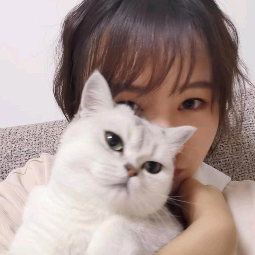 嘻嘻嘻直播在音 
