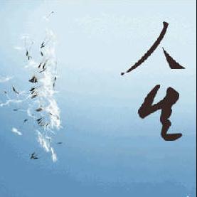 动脑启明教育运营 
