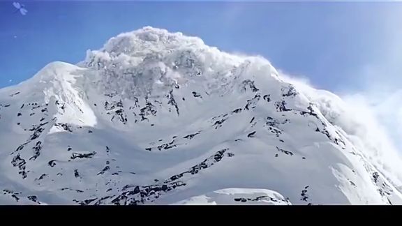 雪橇犬里领头的是最厉害的,它可以辨别危险,自己带队转移