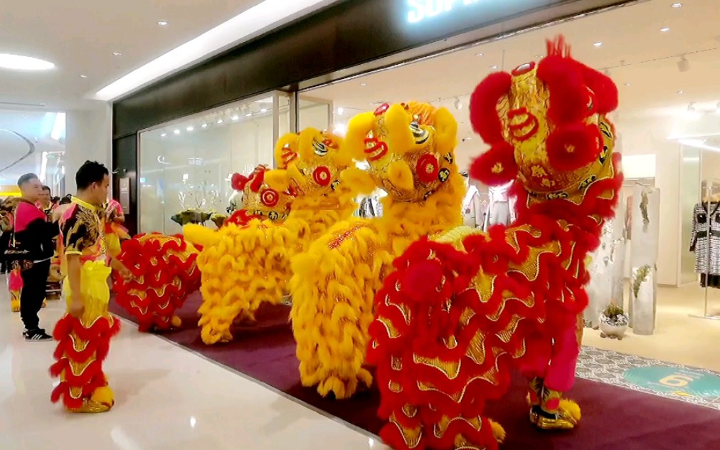 这才是正宗的舞狮表演绝技,短短2分钟,成功吸引全场人目光