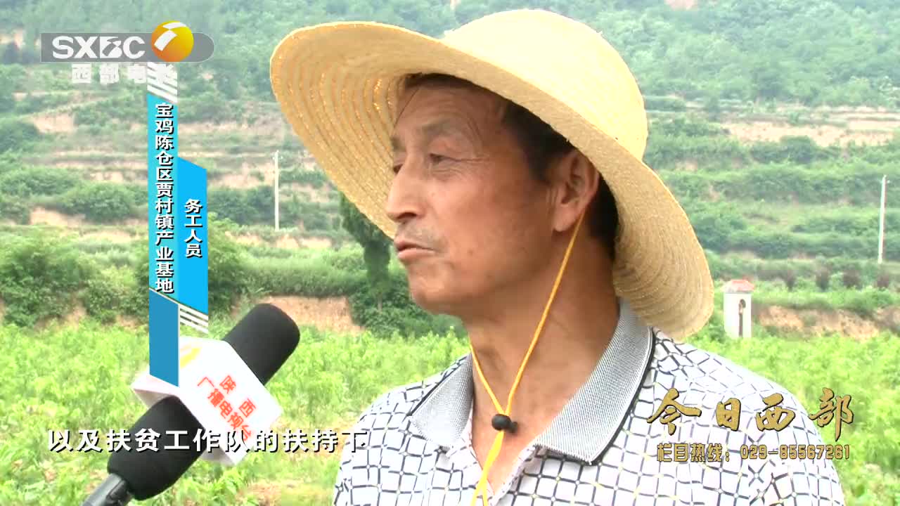 宝鸡陈仓:发展壮大贫困村集体经济 探索全新产业扶贫模式