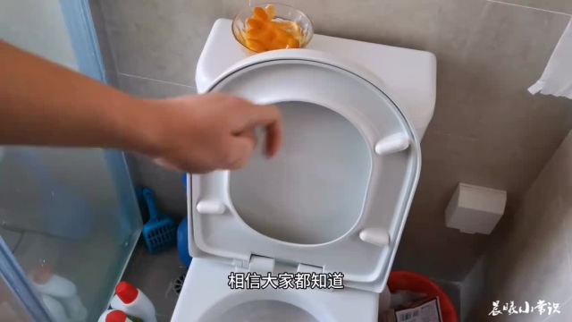 橘子皮别再扔掉了,用水一煮,原来作用太厉害了,真是长见识了