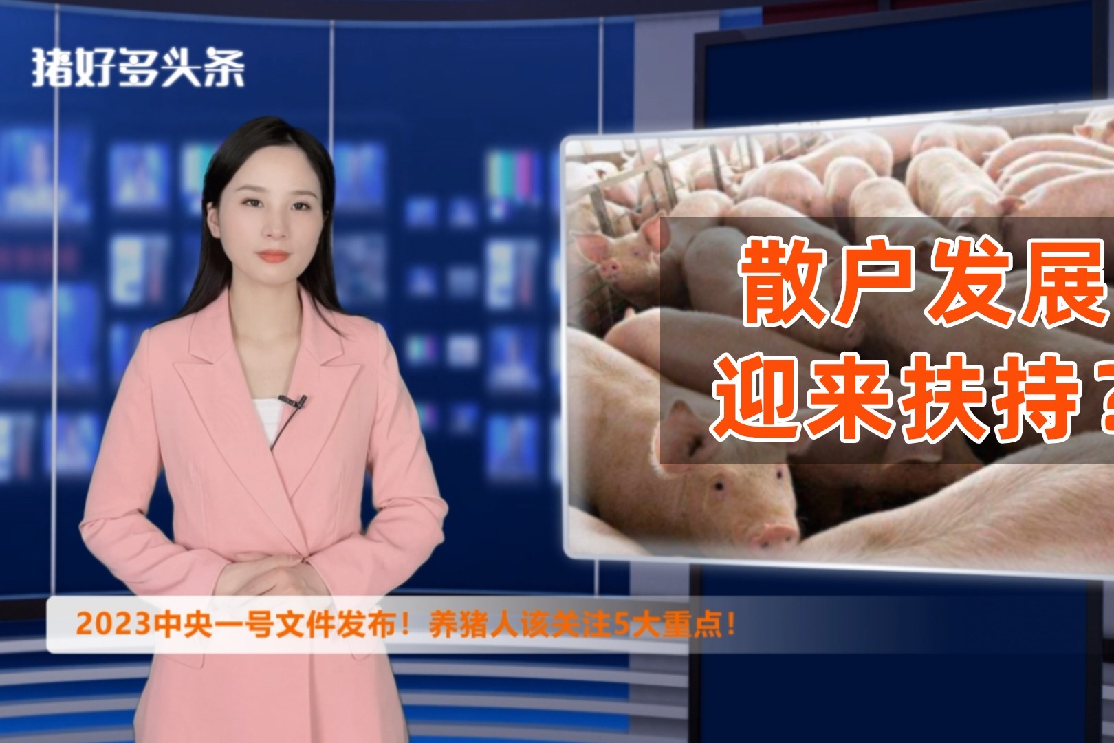 2023中央一号文件正式发布!5大重点值得关注!散户迎机遇?