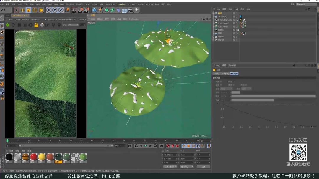 C4d教程《荷叶》-渲染部分