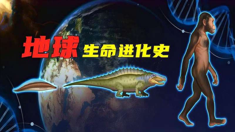 地球生命进化史:从单细胞生命到人类出现,我们的祖先可能是条鱼