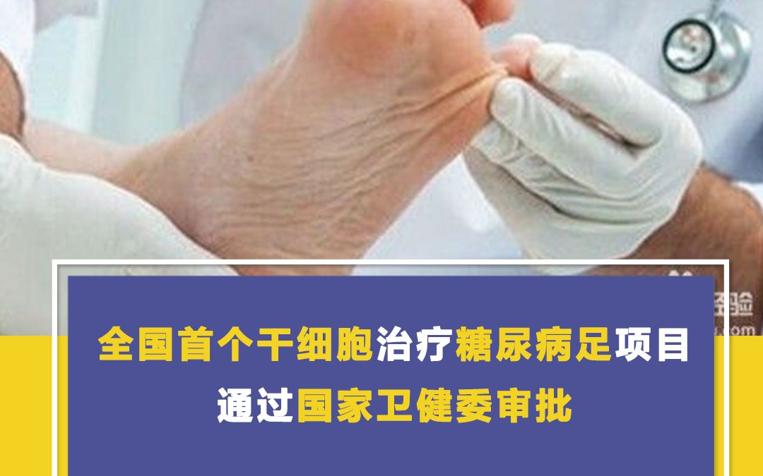 免疫细胞治疗多种癌症: 全球首款上市CAR-T疗法新适应症获优先审查