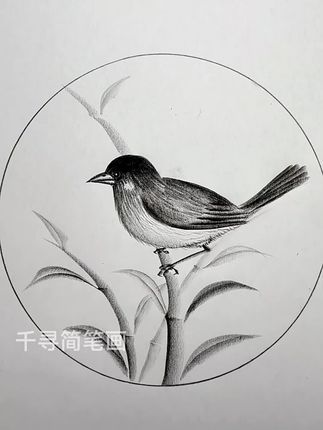 简单几笔画鸟儿一学就会,一起学画画炭笔画零基础学画画鸟的...