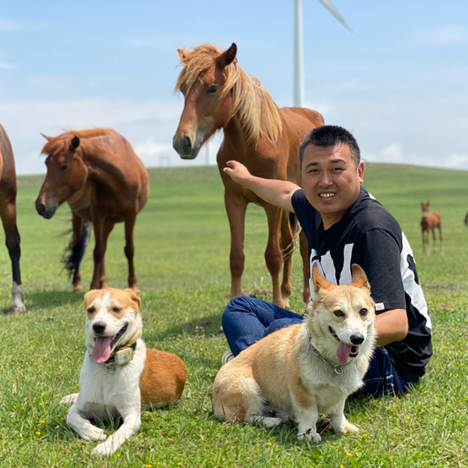 宠物训犬师霍尔 