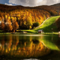 爱吃水果的小若男 