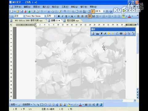 WPS Office 2005文字教程26