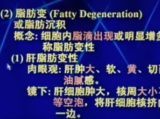 中国医科大学病理学2 细胞和组织的适应与损伤(2)
