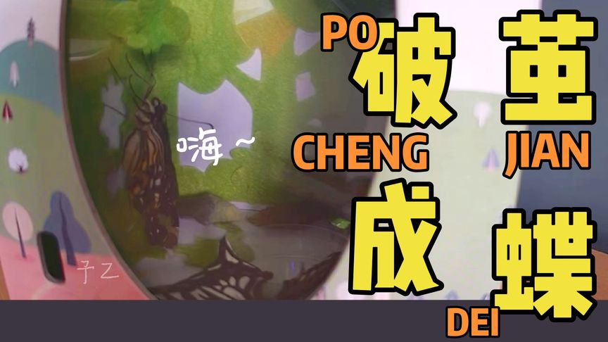 记录蝴蝶破茧成蝶的过程