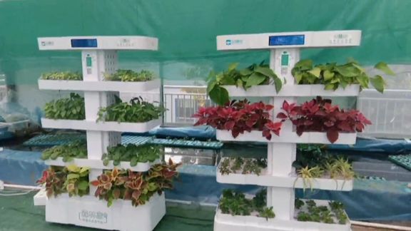 #心福地森林家 #实拍 #农业种植 森林家大家庭展示