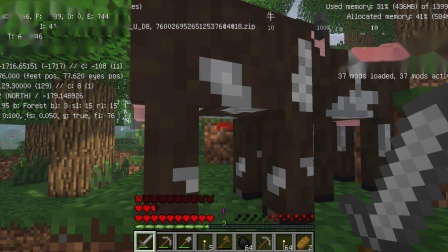 我的世界 血族传说 第3期