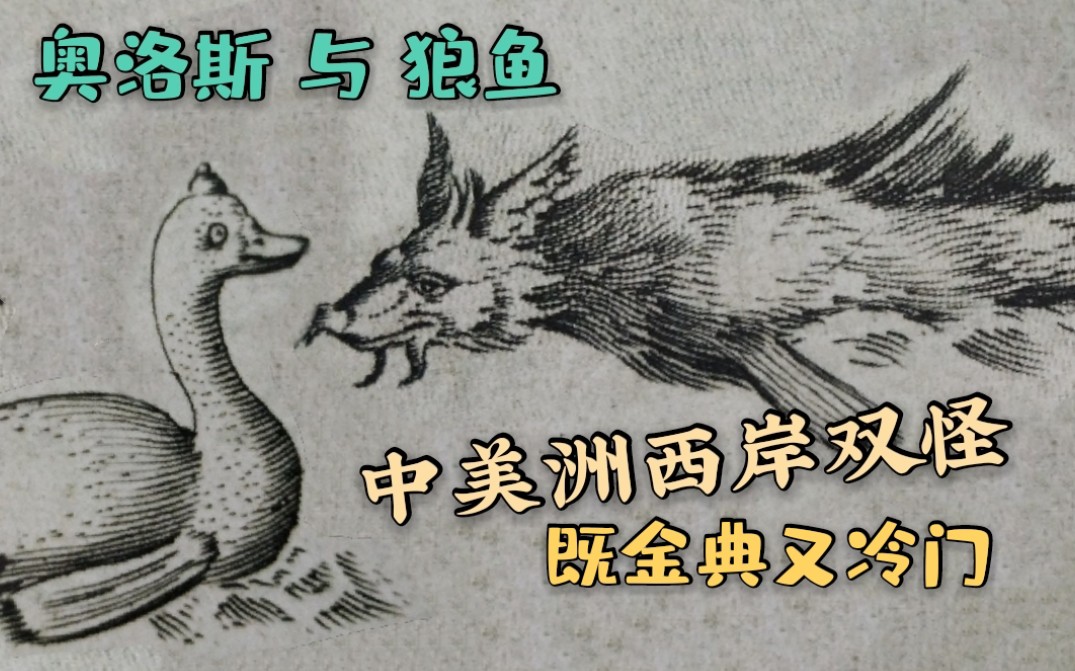 【海怪传说】中美洲西岸的两头新世界海怪-「奥洛斯」与「狼鱼」