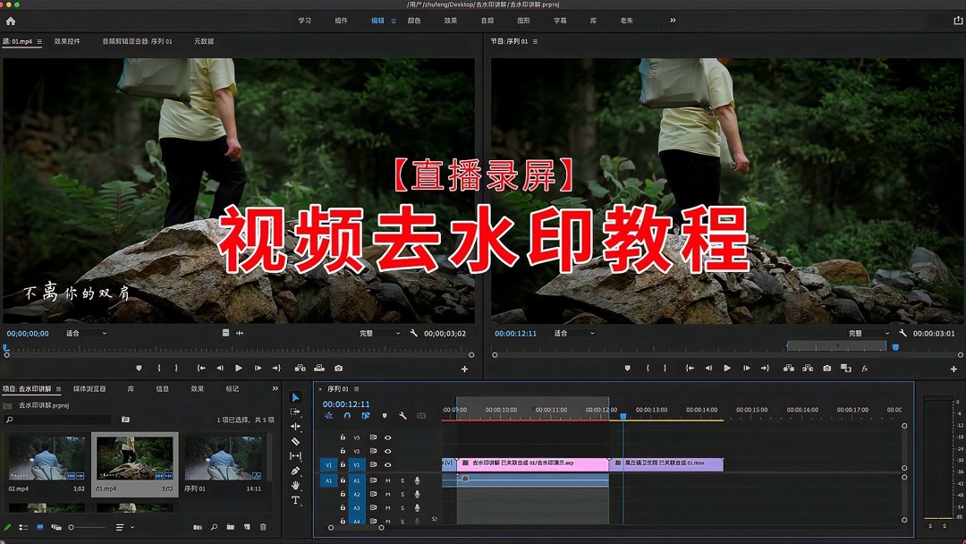 Pr视频去水印常用的三种方法,完美去除字幕,商业级去水印方法