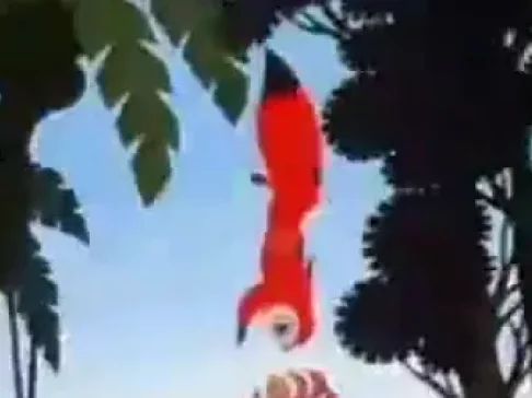 国产经典动画片:咕咚来了_标清