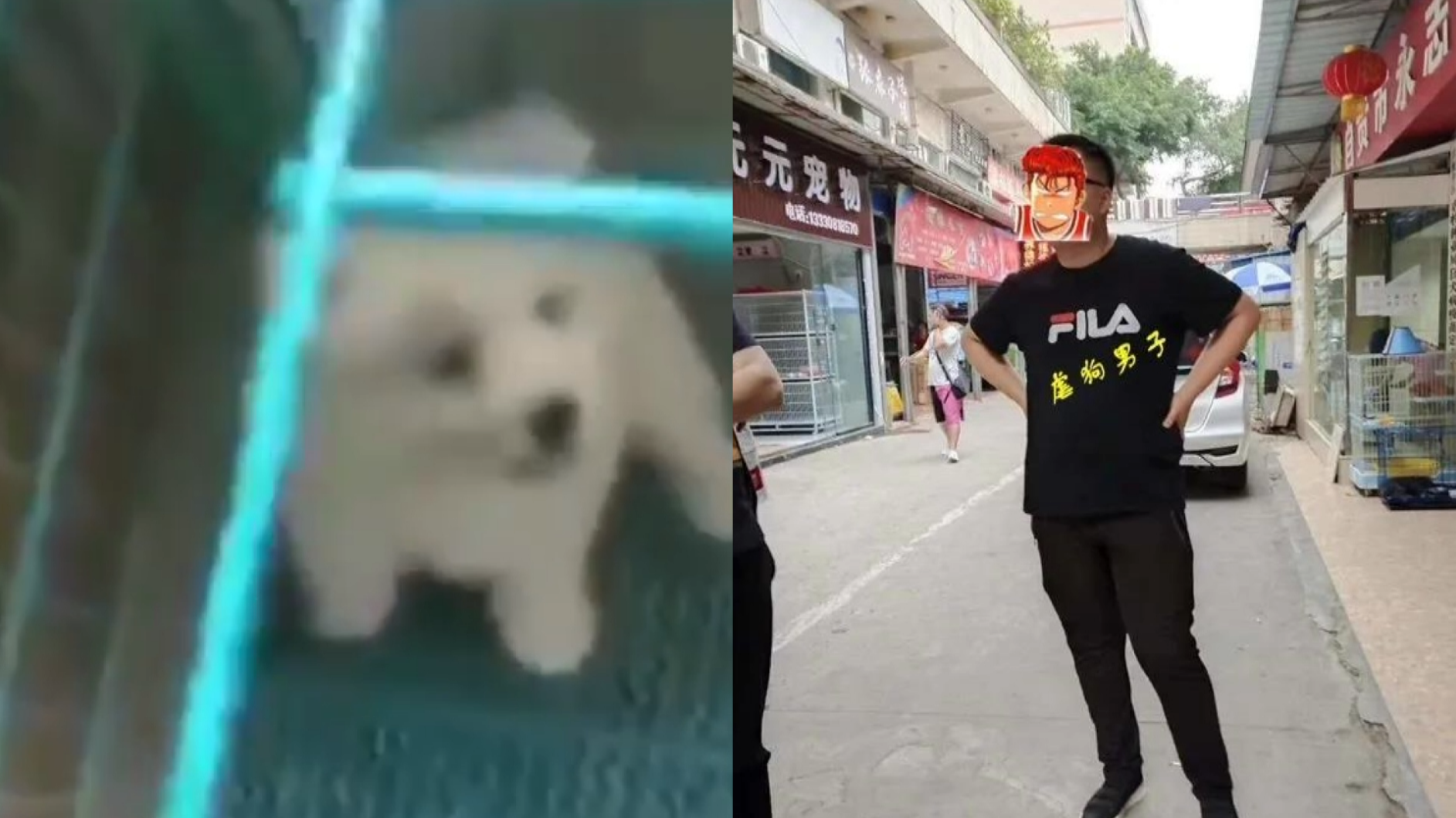 男子自拍虐狗视频微信群里叫卖:卖不掉就整死,不想养了