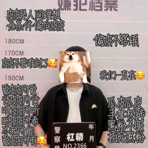 酥怡怡 