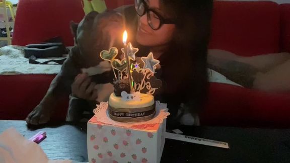 毛孩子一岁了,妈妈爱你,臭宝贝!#宠物生日蛋糕