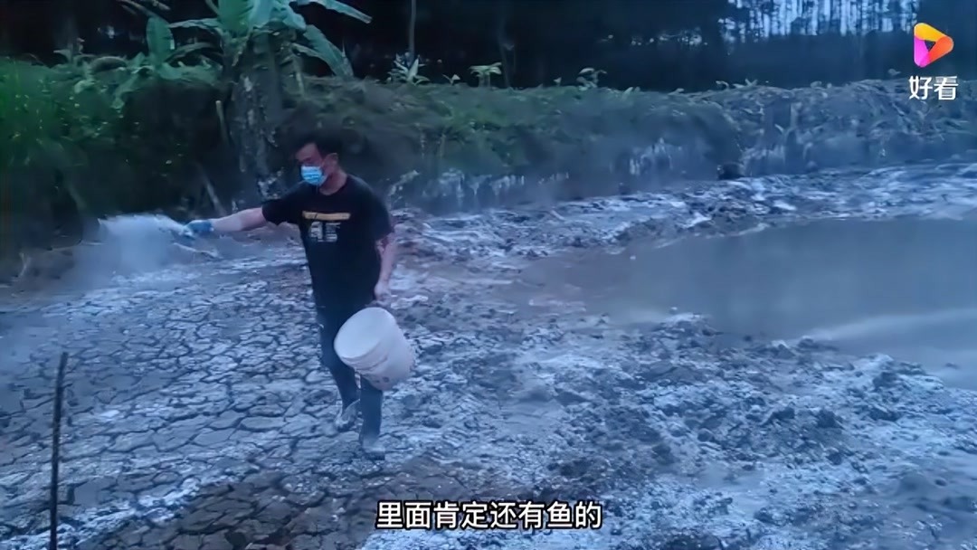 标哥拿石灰给鱼塘消毒,鱼塘里还冒井水,真开心,不愁没水养鱼了