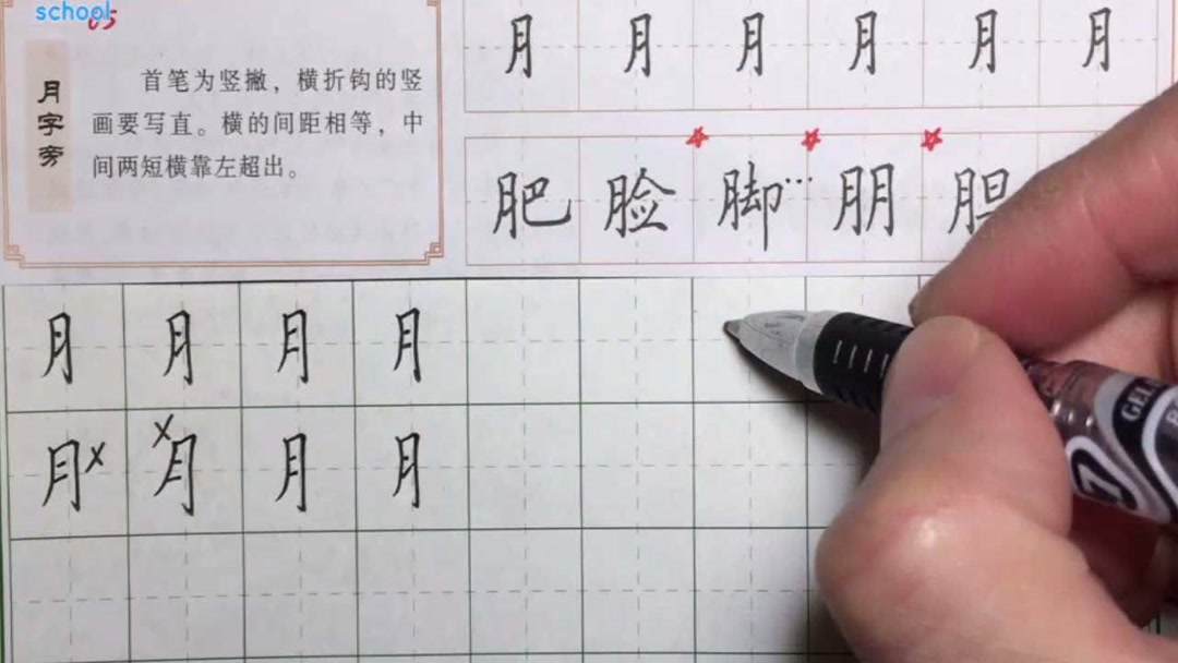 硬笔楷书月字旁教学视频,形要窄不宜宽、实际应用中注意形态变化
