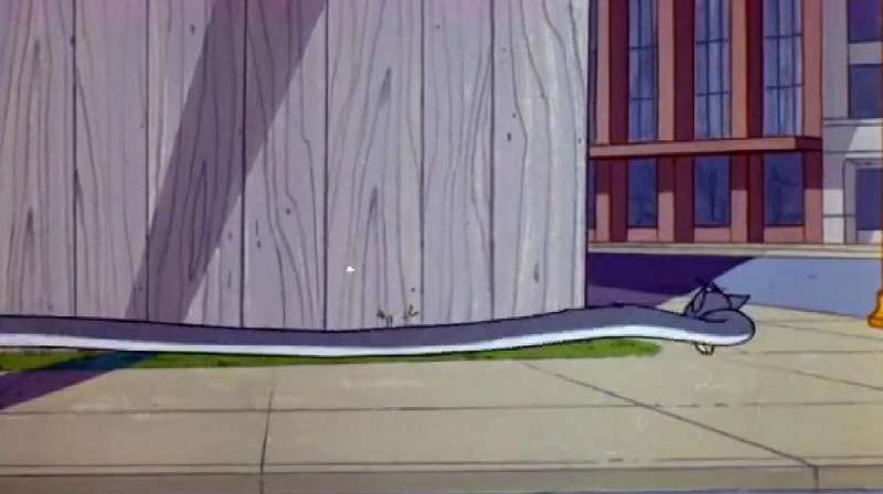 猫和老鼠:汤姆追赶杰瑞,竟卡在水管里,不料身体竟和火车那么长