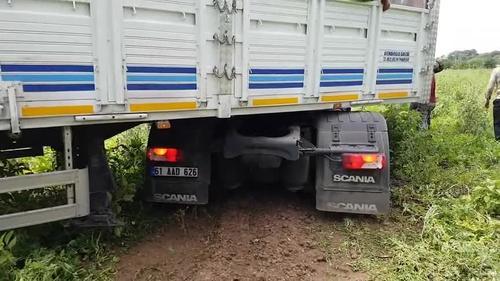 斯堪尼亚卡车跑进农场了,拿来装西瓜了,果然一对比显得卡车高大了