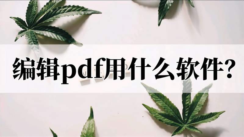 编辑pdf用什么软件?