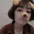 林凯家的小猫咪 