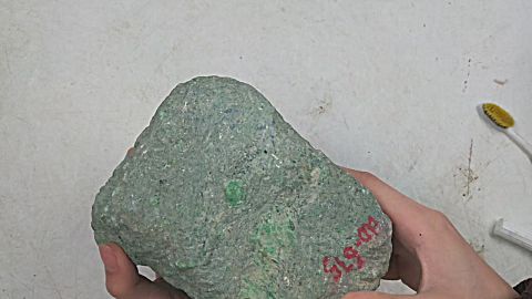 多利多赌石,6000淘来一块木那松花色癣 翡翠原石,奇迹出现?