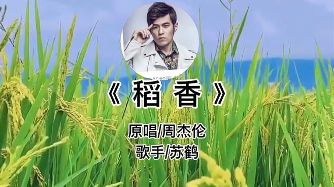 经典歌曲 周杰伦《稻香》