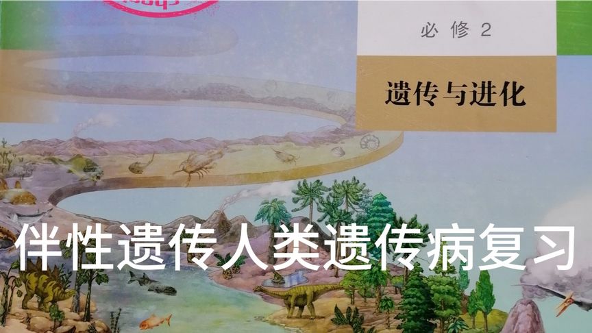 伴性遗传人类遗传病复习1